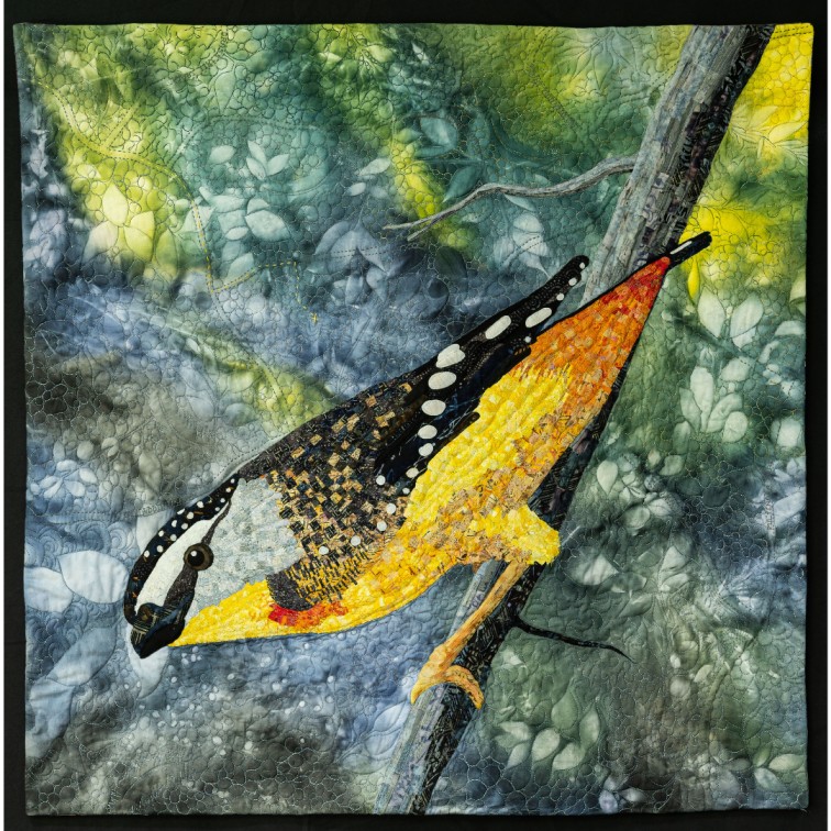 Queensland Quilters Quilt Show 2025 - Craft & Quilt